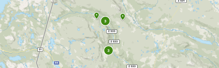 Best 10 Forest Trails in Bruksvallarna | AllTrails