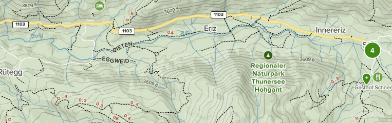 Best Forest Trails in Eriz | AllTrails