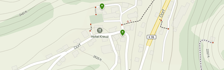 Best Forest Trails in Romoos | AllTrails