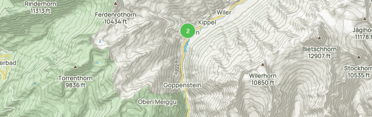 2023 Best Forest Trails in Ferden | AllTrails