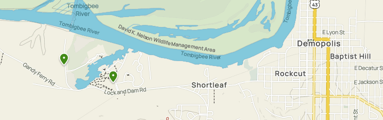 Best Forest Trails in Demopolis | AllTrails