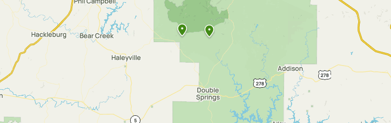 Best Backpacking Trails in Double Springs | AllTrails