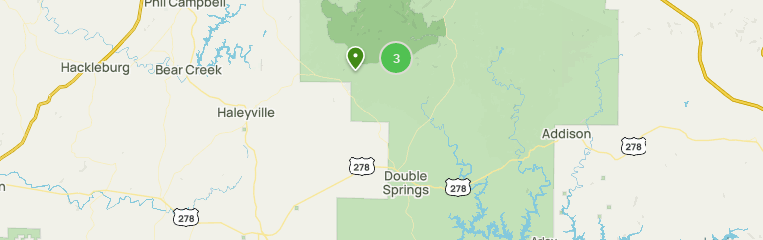 Best Camping Trails in Double Springs | AllTrails