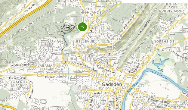 Best Bird Watching Trails near Gadsden, Alabama | AllTrails