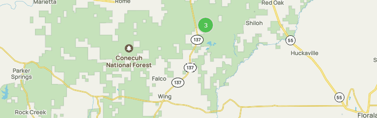 Best Forest Trails in Wing | AllTrails