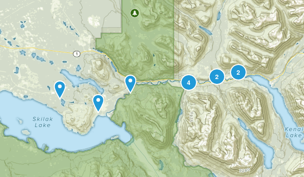 Best Wild Flowers Trails near Cooper Landing, Alaska | AllTrails