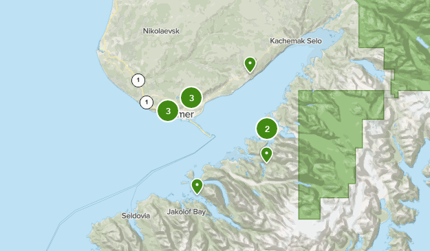 Best Forest Trails near Homer, Alaska | AllTrails