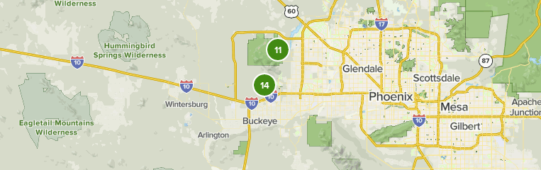 10 Best Wild Flowers Trails in Buckeye | AllTrails