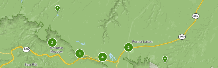 Best forest trails in Forest Lakes, Arizona | AllTrails