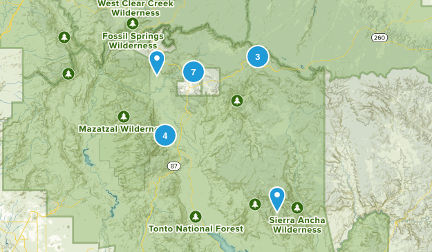 Best Forest Trails near Payson, Arizona | AllTrails