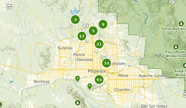Best Bird Watching Trails near Phoenix, Arizona | AllTrails