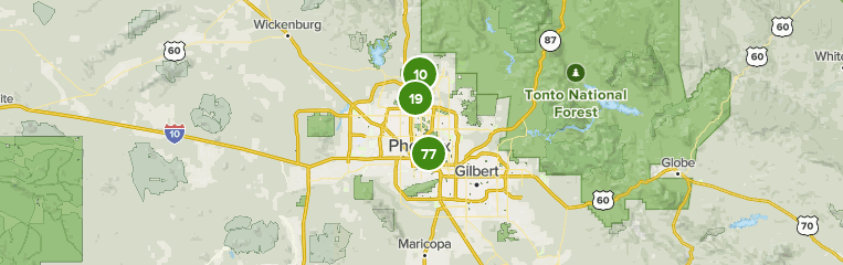 Best 10 Bird Watching Trails in Phoenix | AllTrails