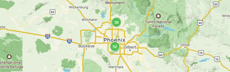 10 Best Bird Watching Trails in Phoenix | AllTrails