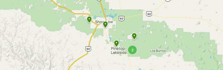 Best Dog Friendly Trails in Show Low | AllTrails