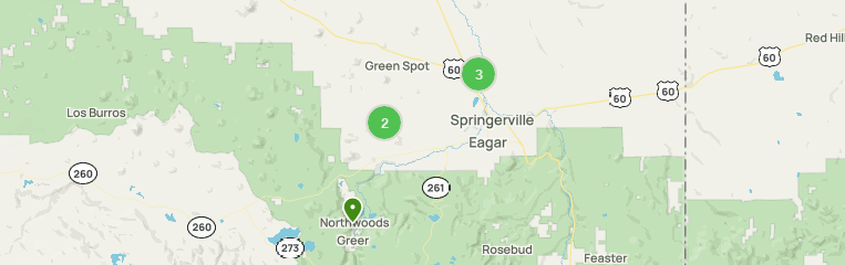 2023 Best Kid Friendly Trails in Springerville | AllTrails