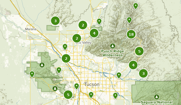 Best Dogs On Leash Trails near Tucson, Arizona | AllTrails