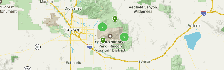 Best Forest Trails in Vail | AllTrails