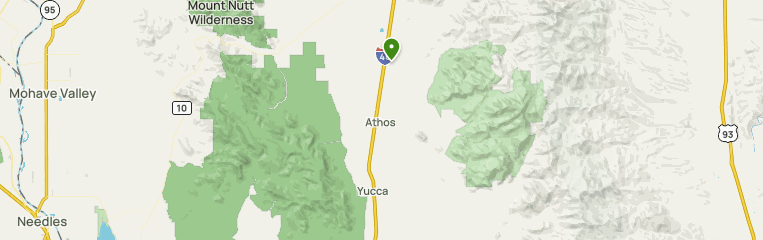 2023 Best Wild Flowers Trails in Yucca | AllTrails