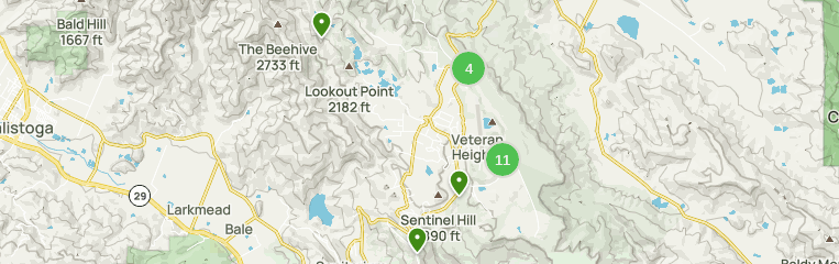 10 Best Forest Trails in Angwin | AllTrails