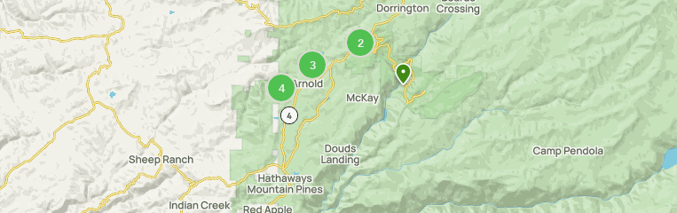 Best Forest Trails in Avery | AllTrails