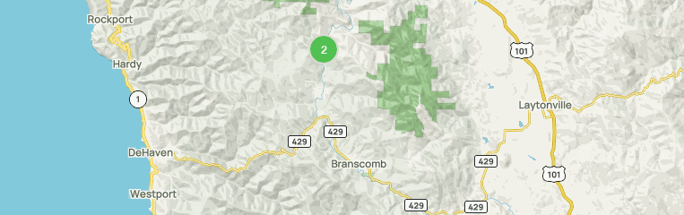 Best Wild Flowers Trails in Branscomb | AllTrails