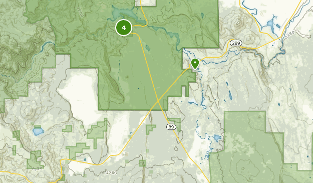 Best Forest Trails near Burney, California | AllTrails