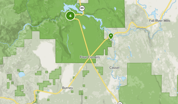 Best Forest Trails near Burney, California | AllTrails