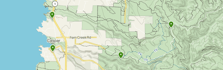Best Forest Trails in Caspar | AllTrails