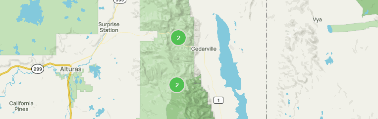 2023 Best Forest Trails in Cedarville | AllTrails