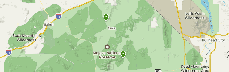 Best Bird Watching Trails in Cima | AllTrails