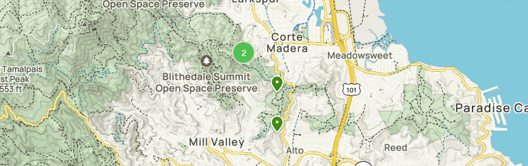 Best Forest Trails in Corte Madera | AllTrails