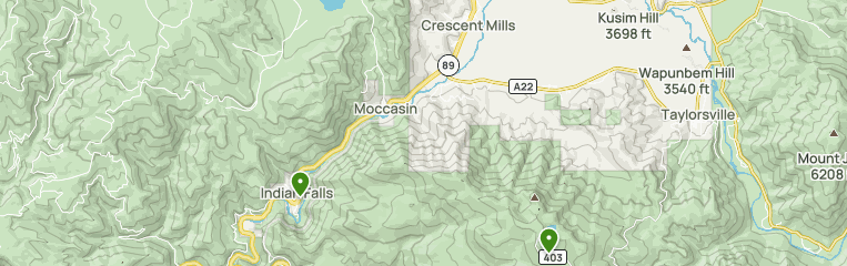 Best Forest Trails in Crescent Mills | AllTrails