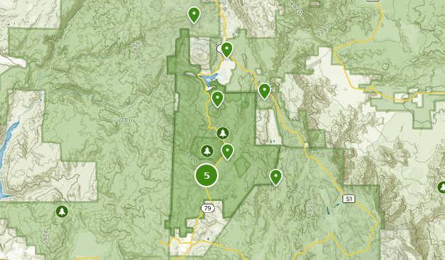 Best Camping Trails near Descanso, California | AllTrails