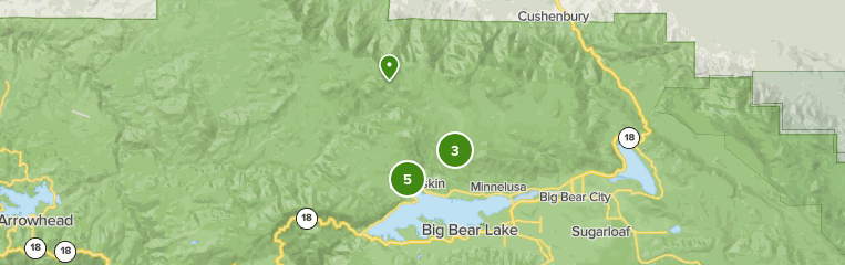 Best Forest Trails in Fawnskin | AllTrails