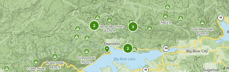 Best Wild Flowers Trails in Fawnskin | AllTrails