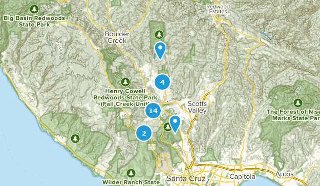 Best Forest Trails near Felton, California | AllTrails