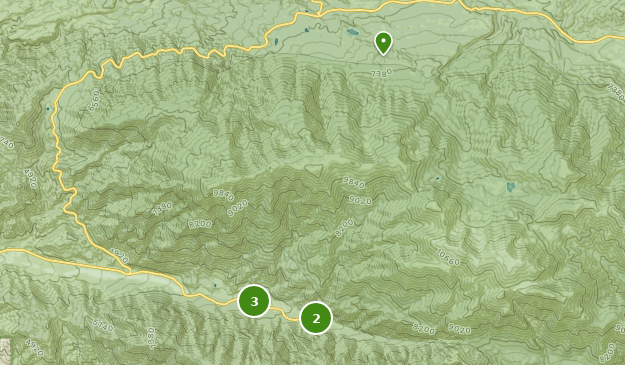 Best Waterfall Trails near Forest Falls, California | AllTrails