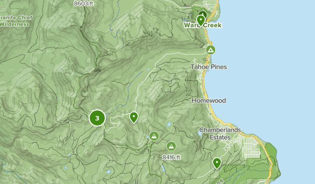 Best Walking Trails near Homewood, California | AllTrails