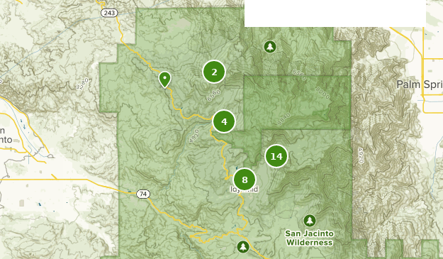 Best Forest Trails near Idyllwild-Pine Cove, California | AllTrails