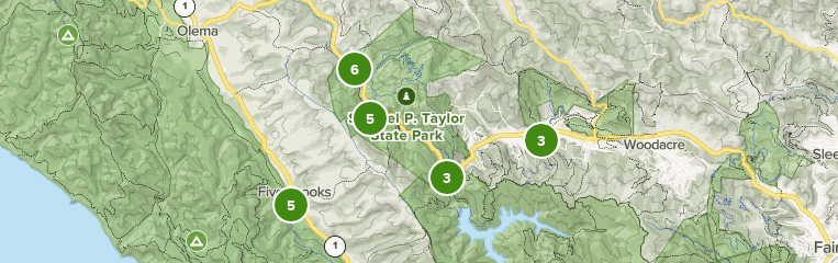 10 Best Forest Trails in Lagunitas | AllTrails