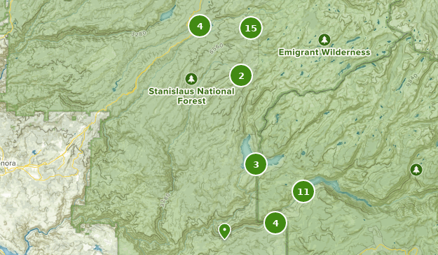 Best Forest Trails near Long Barn, California | AllTrails