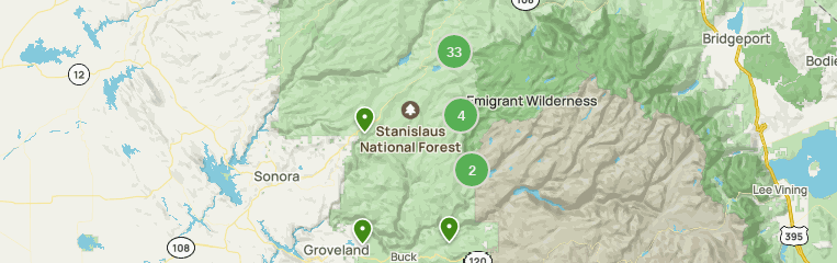 Best Forest Trails in Long Barn | AllTrails