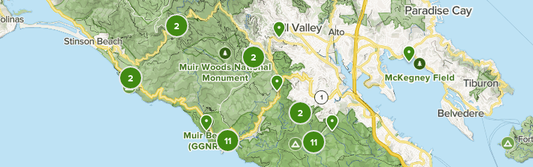 10 Best Beach Trails in Mill Valley | AllTrails