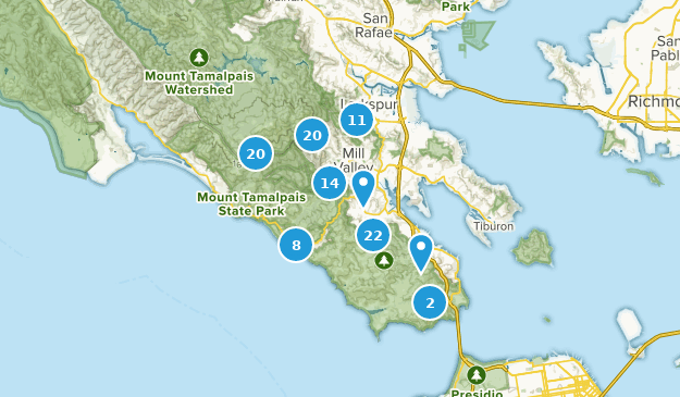 Best Trail Running Trails near Mill Valley, California | AllTrails