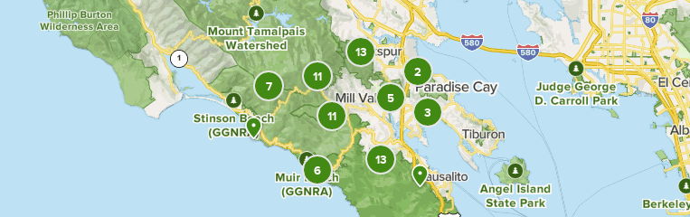 10 Best Walking Trails in Mill Valley | AllTrails