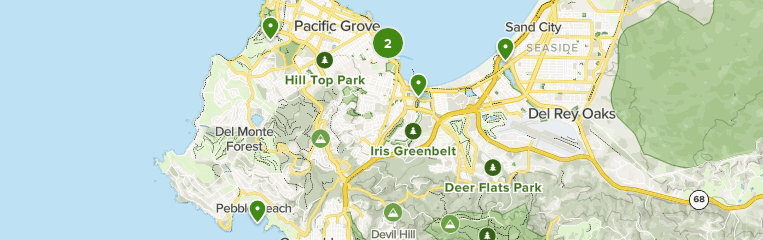 Best Beach Trails in Monterey | AllTrails