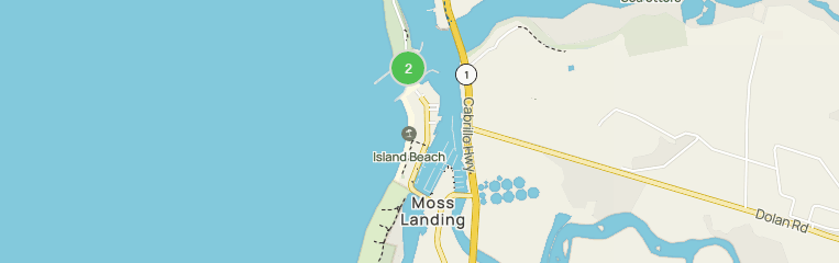 Best Beach Trails in Moss Landing | AllTrails