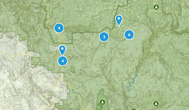 Best River Trails near Oakhurst, California | AllTrails