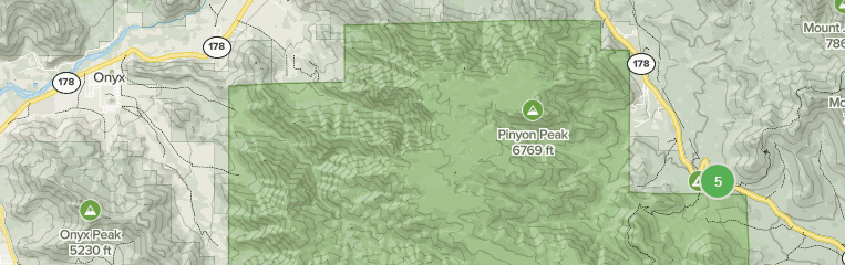 Best Forest Trails in Onyx | AllTrails