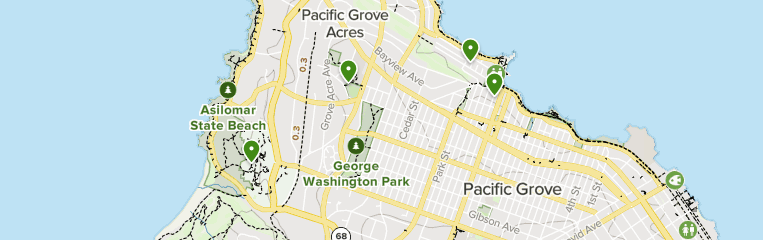 Best Easy Trails in Pacific Grove | AllTrails